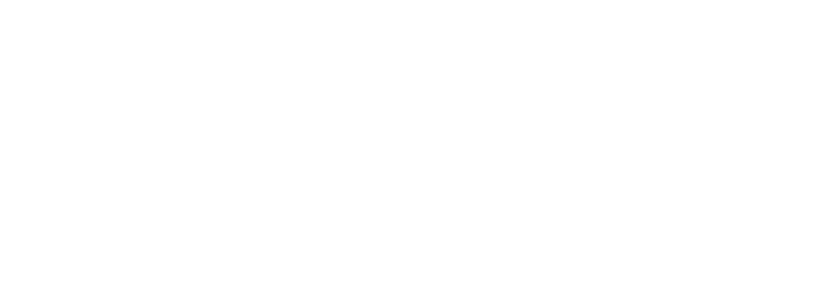 Contact us for locating and inspection at Northern Lights